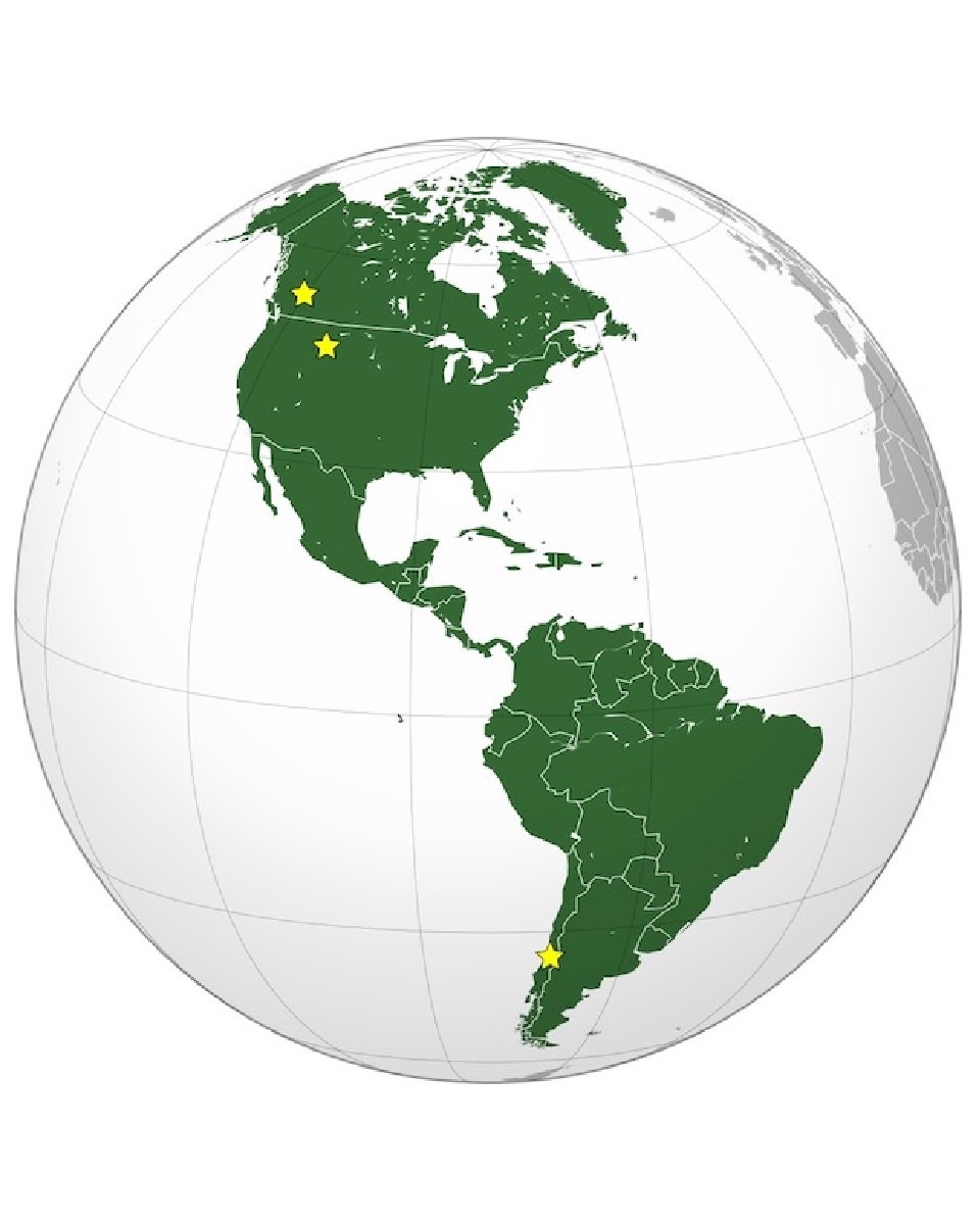 The Company :: Axis Forestry